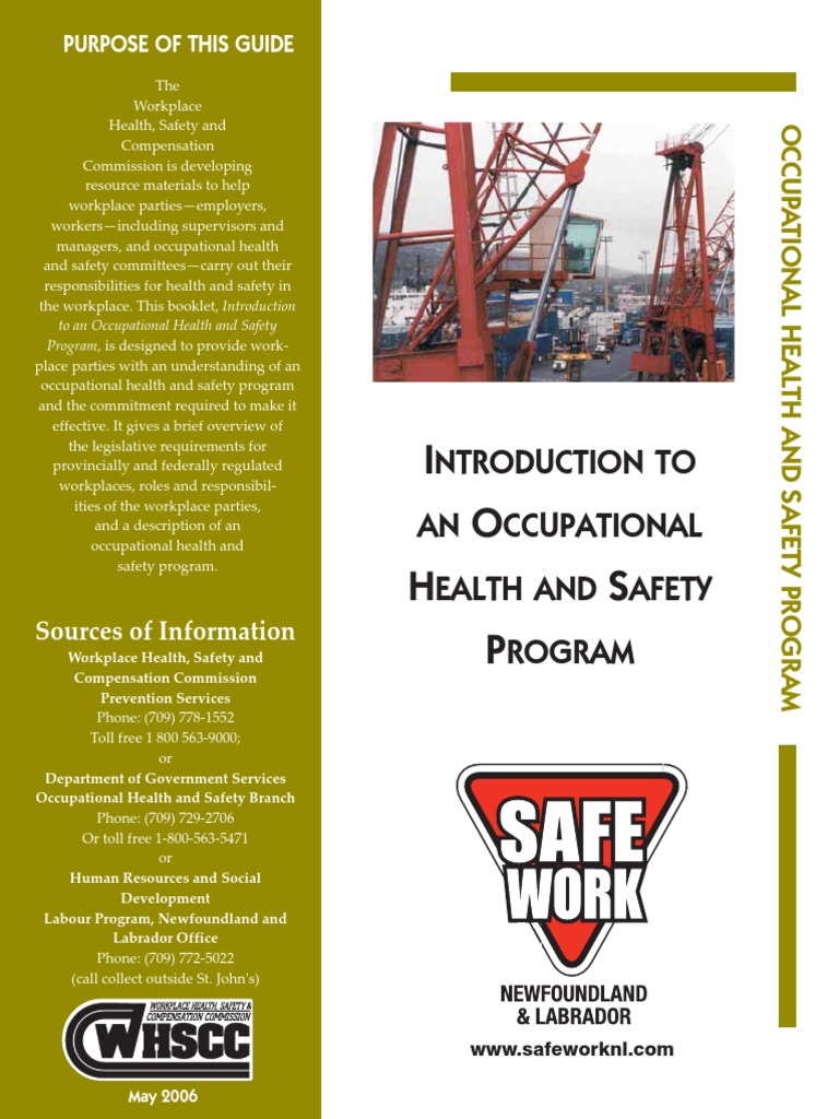 Introduction Ohs Program | PDF | Occupational Safety And Health | Human ...