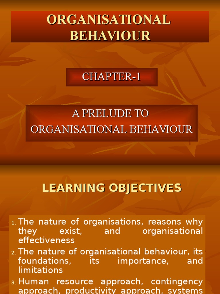 Chapter-1.ppt | Organizational Behavior