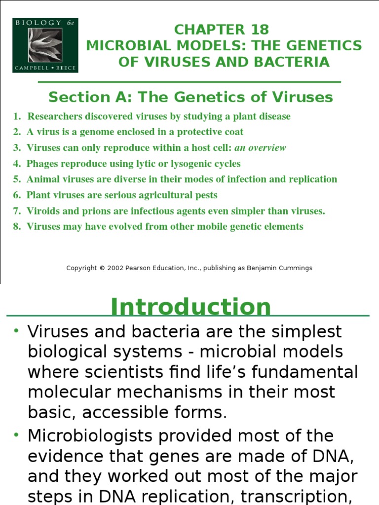 APBio Powerpointschm 1827 | PDF | Operon | Virus