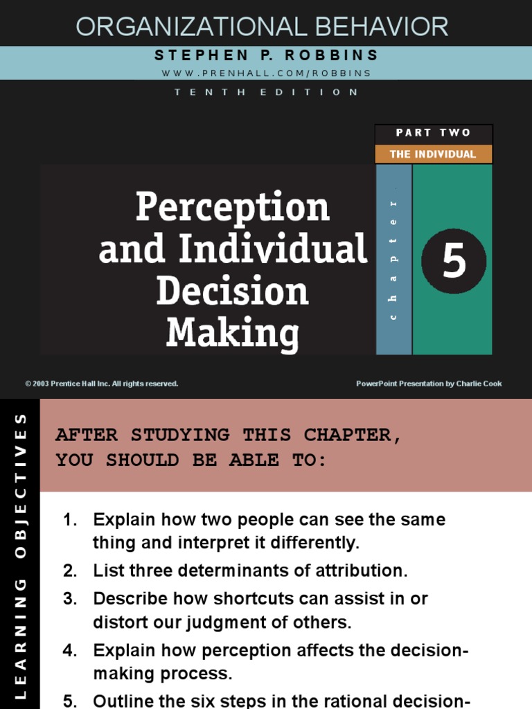 Chapter 5 Perception & Individual Decision Making | PDF | Decision Making | Performance Appraisal