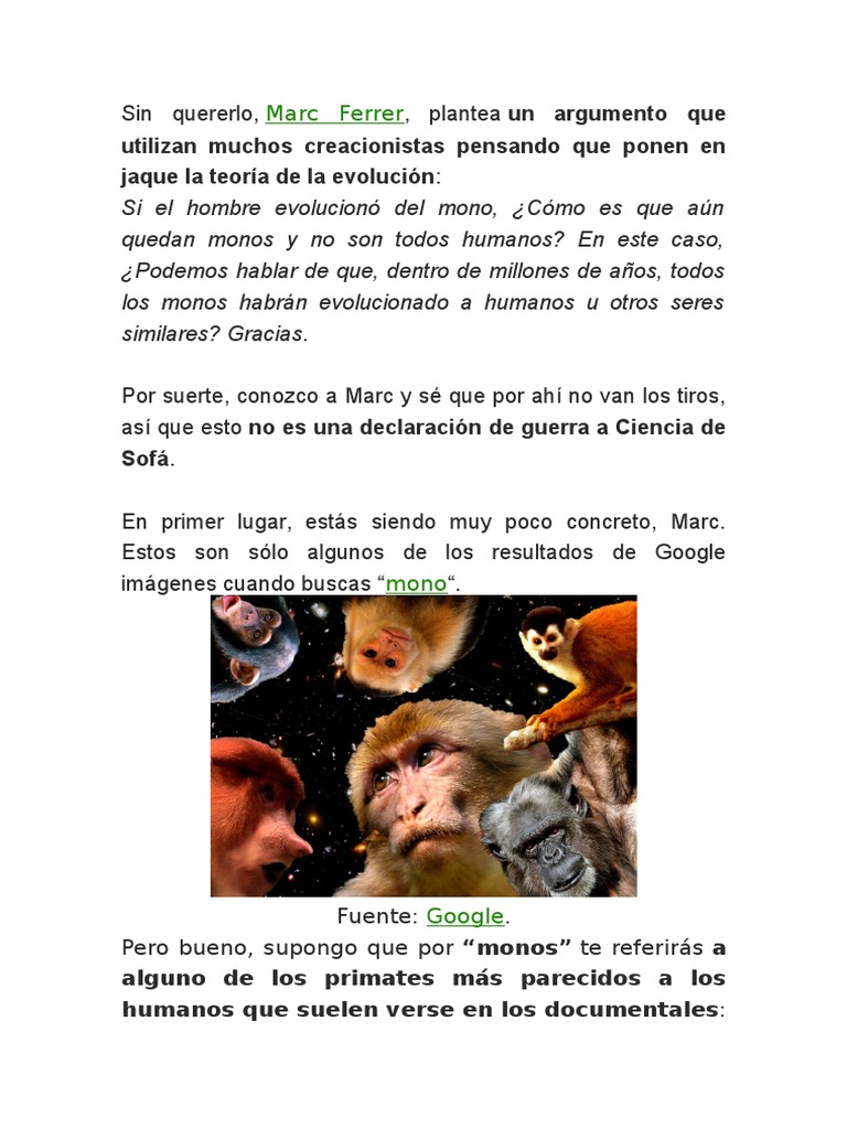 Evolucion de Los Monos? | PDF | Chimpancé | Homo Sapiens