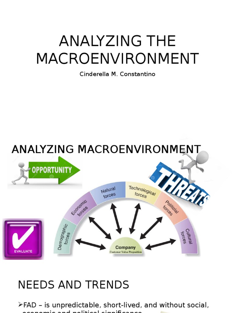 Macroenvironment Insights for Strategists | PDF
