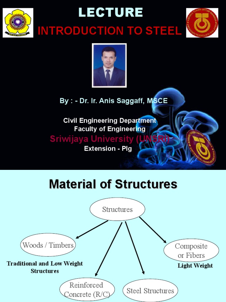 An Introduction to Steel Structures and Beam Analysis | PDF | Strength ...