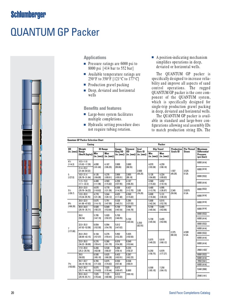 p20 - 21 Quantum GP Packer | Download Free PDF | Mechanical Engineering ...