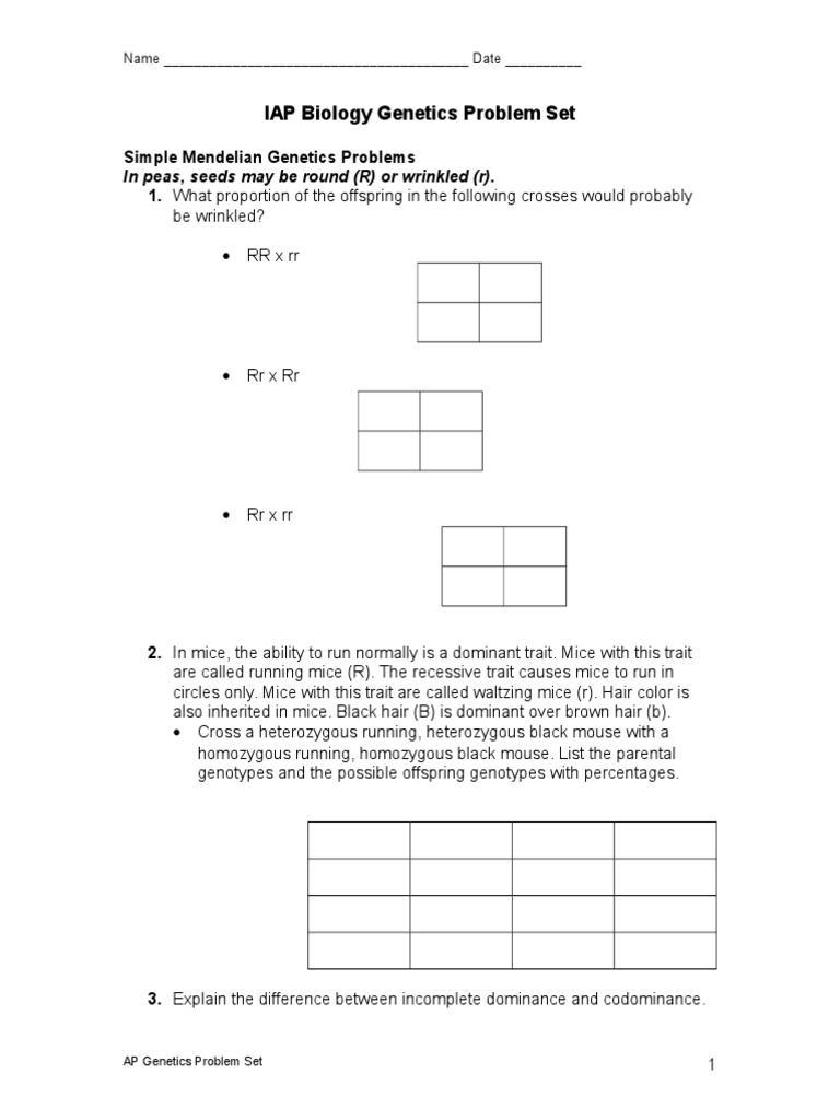 lAP Biology Genetics Problem Set: in Peas, Seeds May Be Round (R) or ...