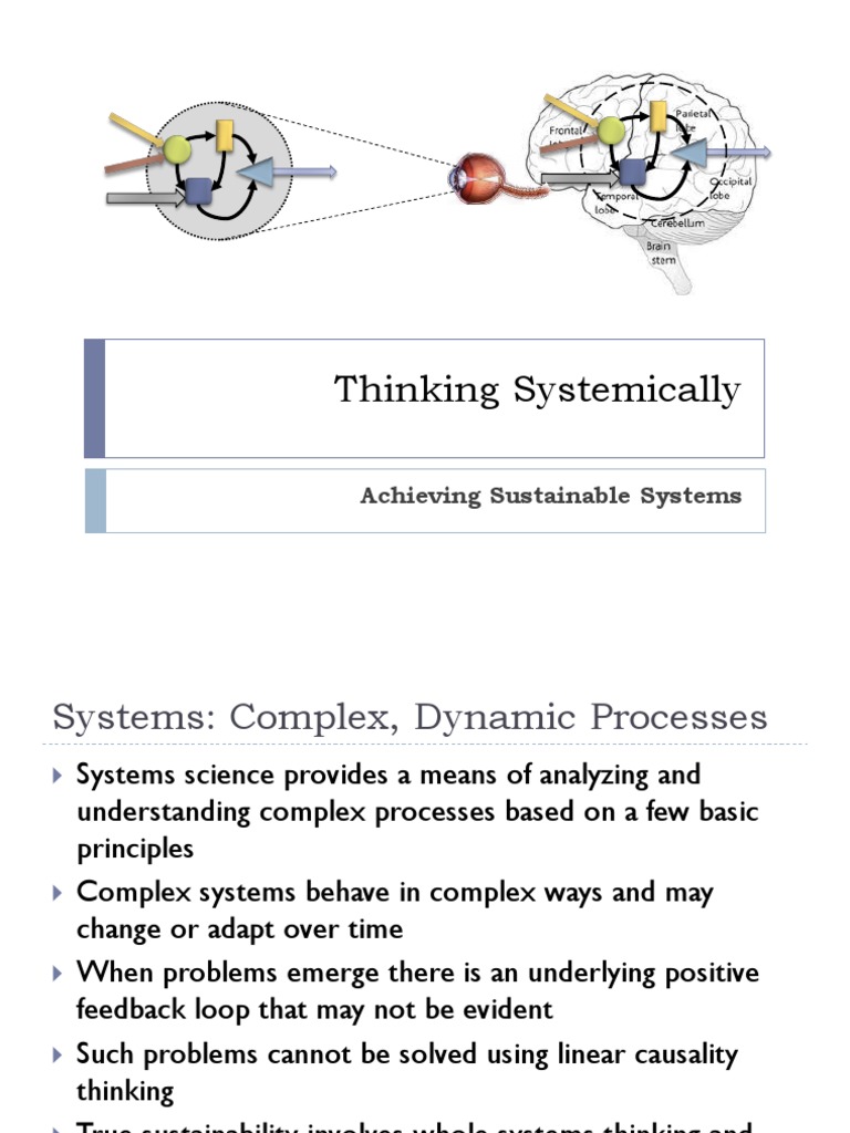 Thinking Systemically | PDF | System | Systems Thinking
