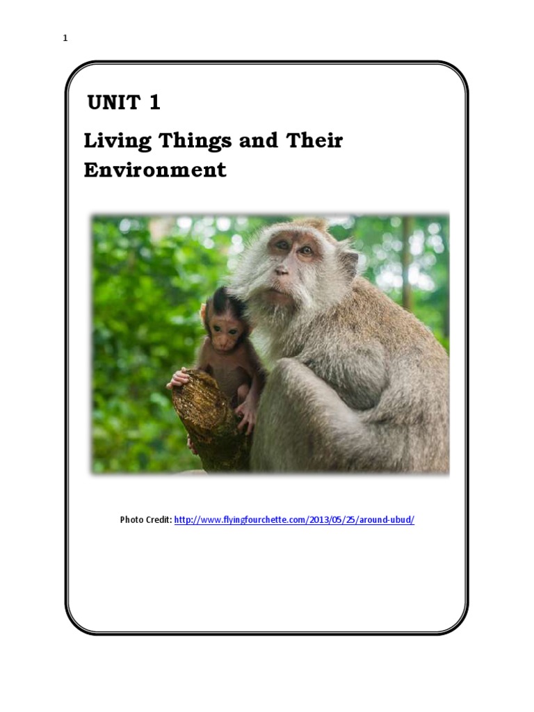 Science Grade 9-Teaching Guide | PDF