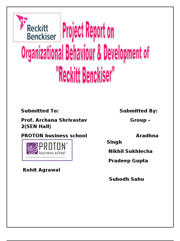 Report on Reckitt Benchiser
