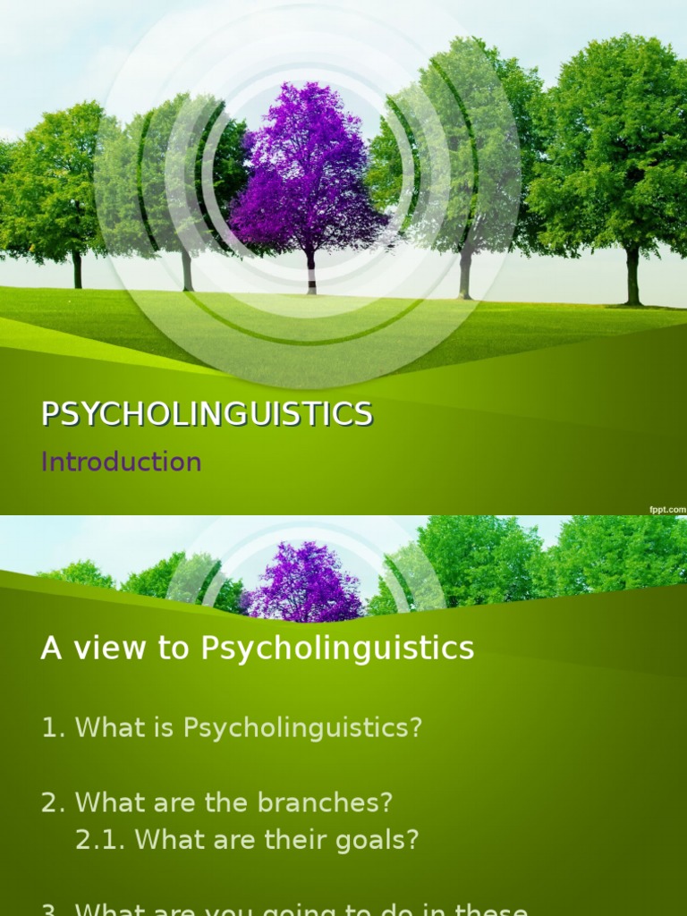 Psycholinguistics Introduction | PDF