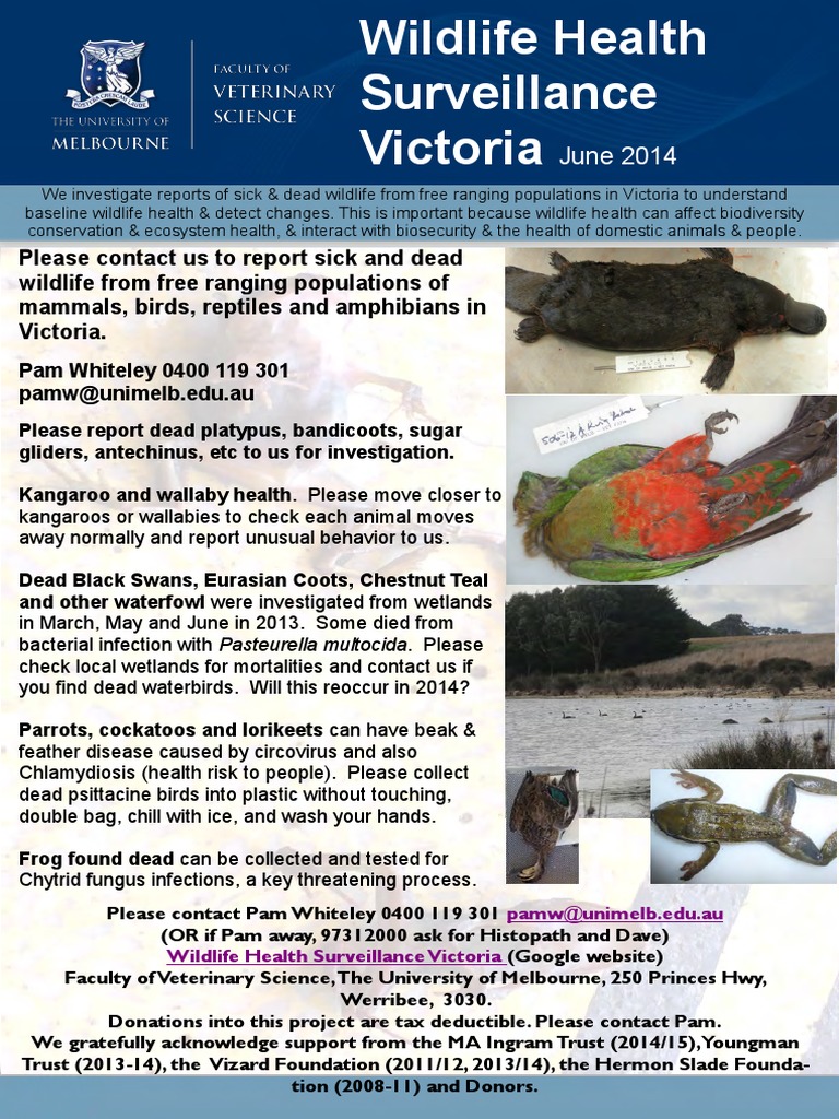 Wildlife Newsletter 12 | PDF