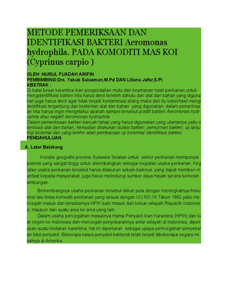 Identifikasi Bakteri Aeromonas Hydrophila | PDF