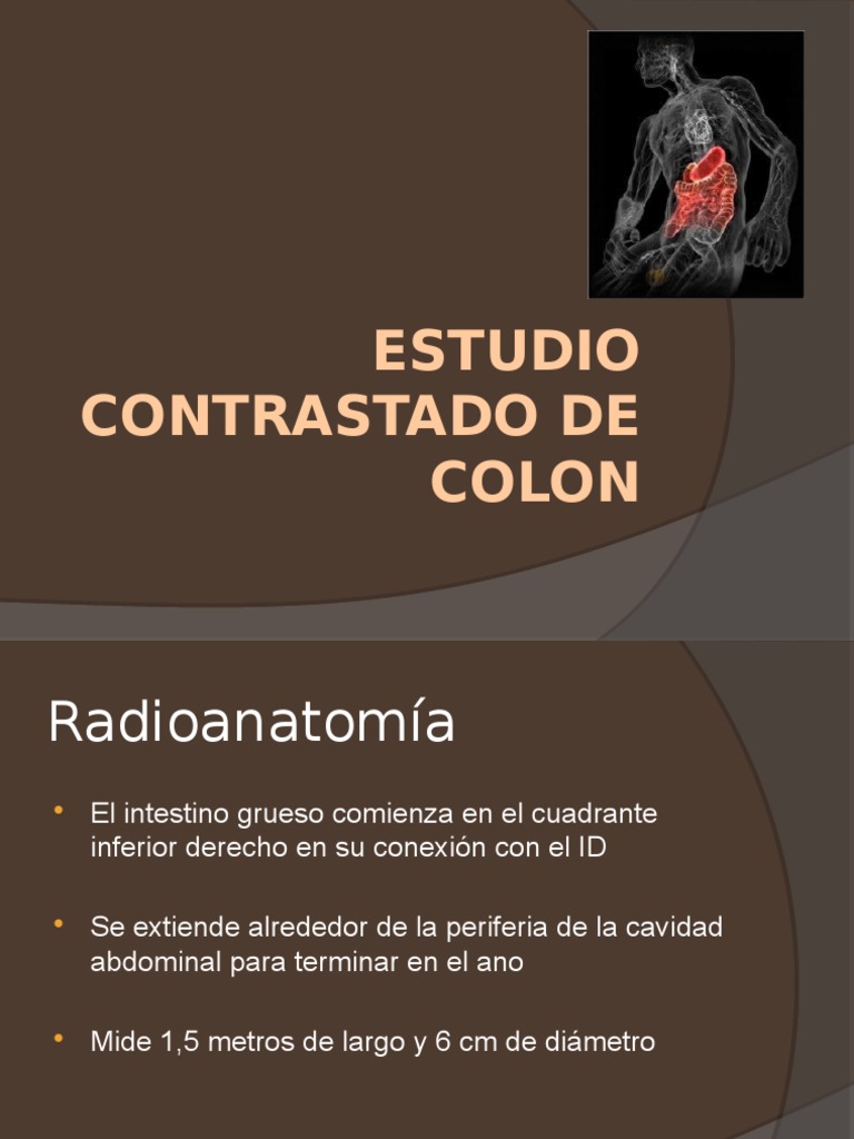 Estudio Contrastado de Colon | PDF | Intestino grueso | Órgano (anatomía)
