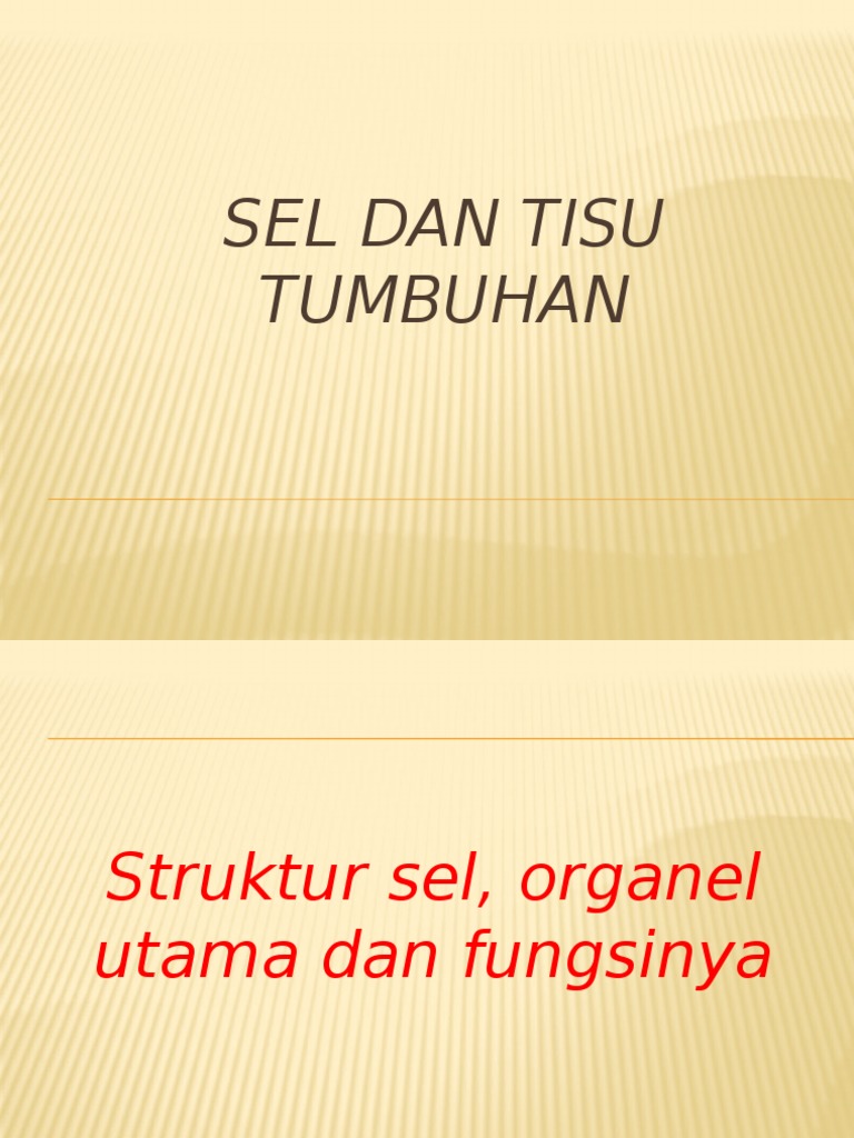 Sel Dan Tisu Tumbuhan | PDF