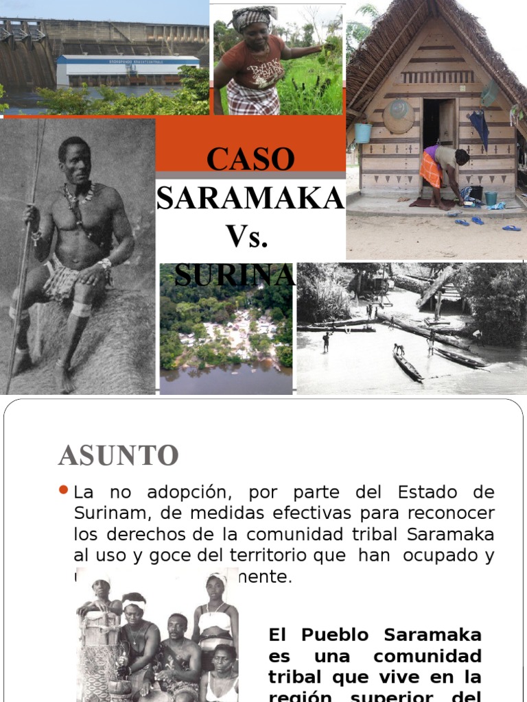 Caso Saramaka | PDF | Gente indígena | Estado (política)
