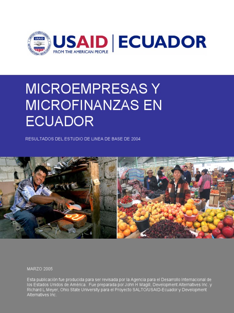 Microempresas y Microfinanzas en El Ecuador PDF | PDF | Crecimiento ...