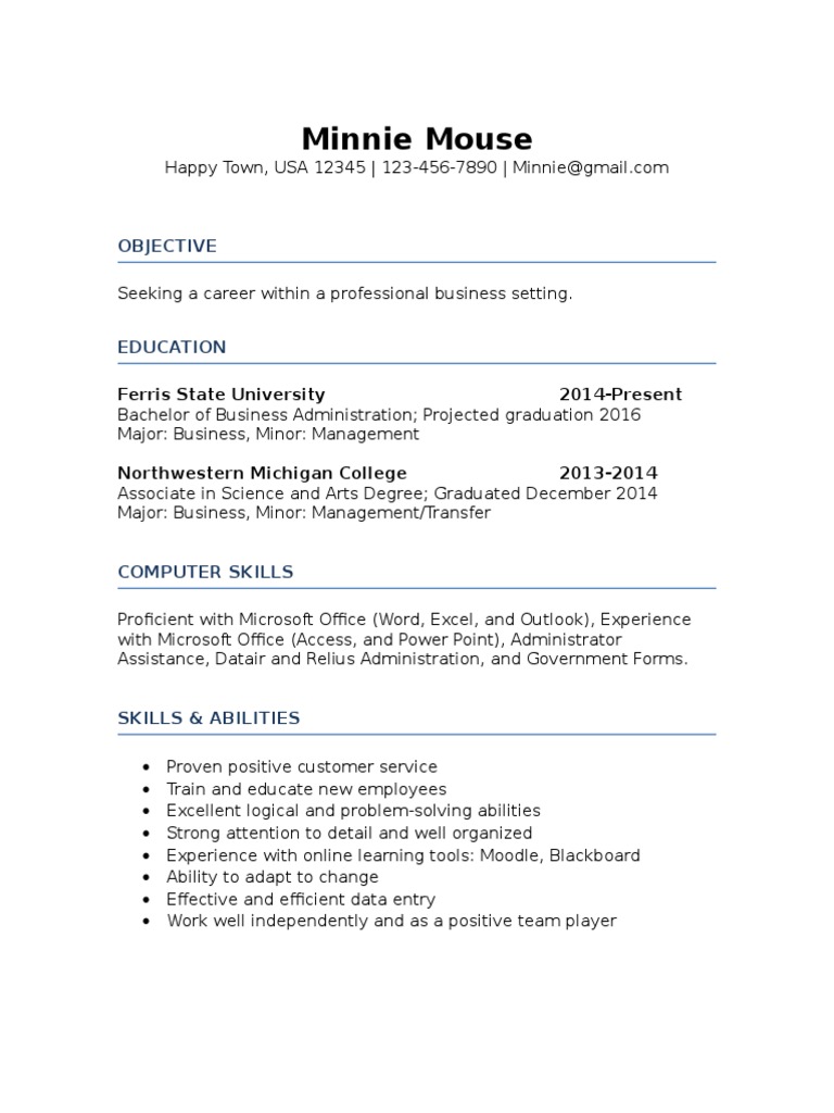 Resume Minnie | PDF | 401(K) | Computing