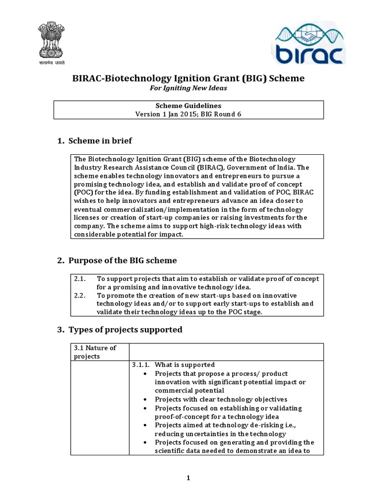 BIG Guidelines New | PDF | Startup Company | Small Business & Entrepreneurs