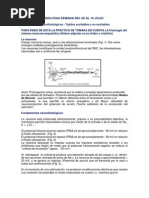 Foramen Ciático Mayor y Menor | PDF | Historia