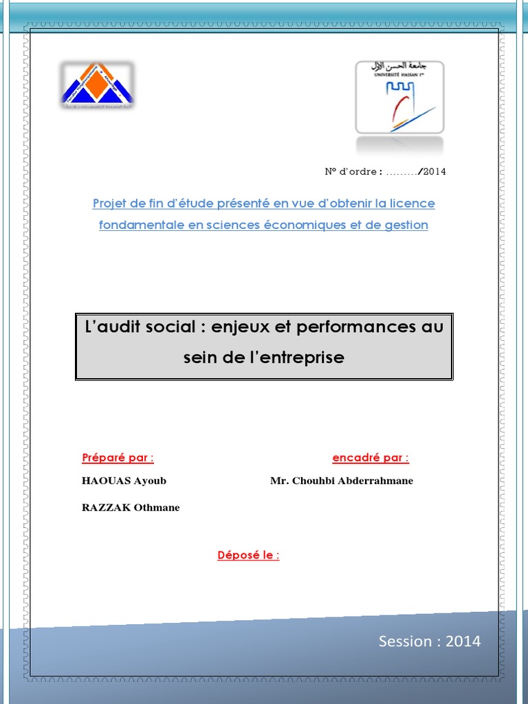 PFE 3 Audit Social | PDF | Audit | Risque