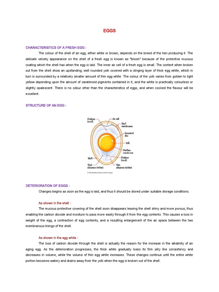 Characteristics of A Fresh Egg:: As Shown in The Shell | PDF | Egg As ...