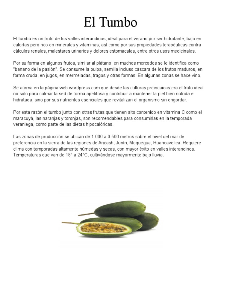 Beneficios y Usos del Fruto Tumbo | PDF