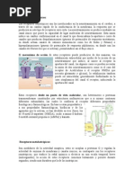 Modelo Rothman | PDF | Causalidad | Ciencias de la Salud