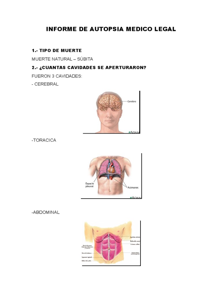 Informe de Autopsia Medico Legal | PDF