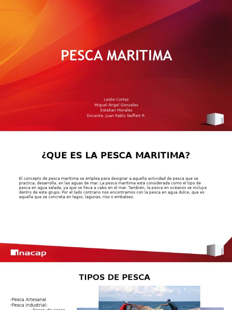 Pesca Maritima | PDF | Pesca recreativa | Pesca con mosca