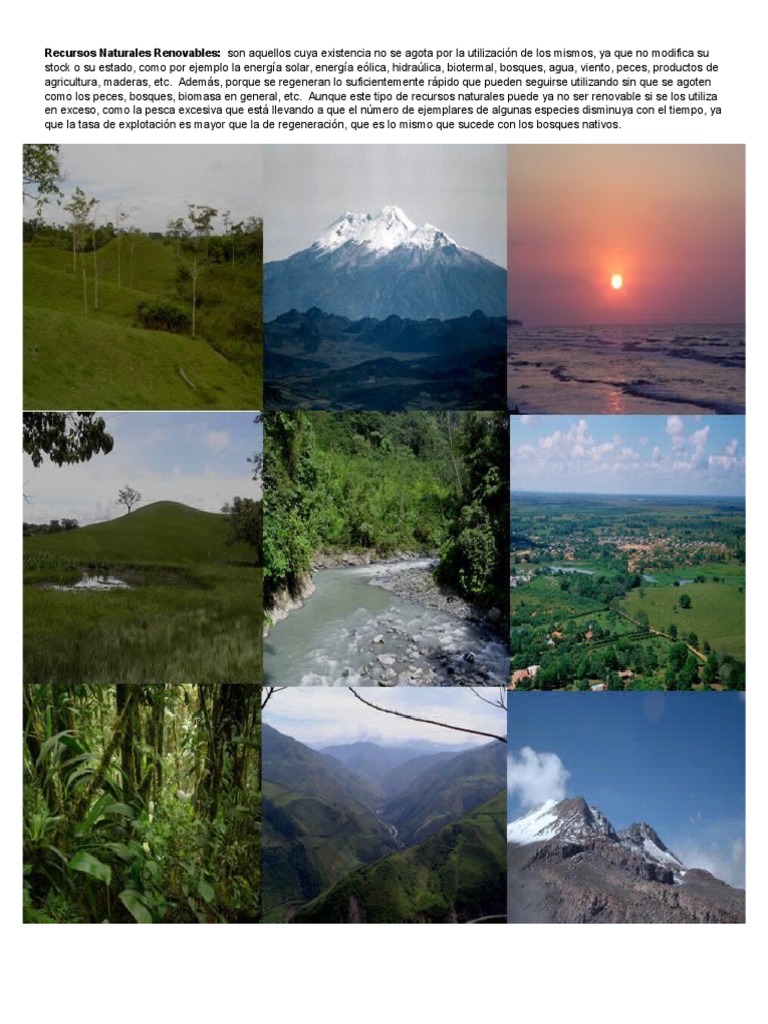 Recursos Naturales Renovables | PDF | Los bosques | Guatemala