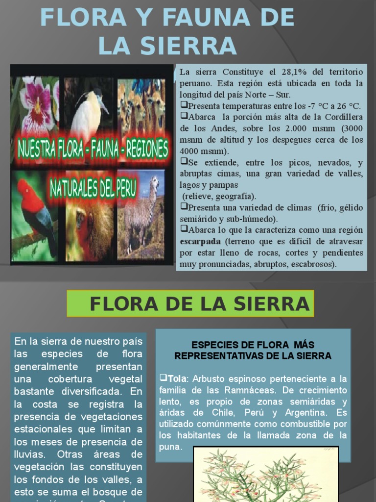 Flora y Fauna de La Sierra Peruana