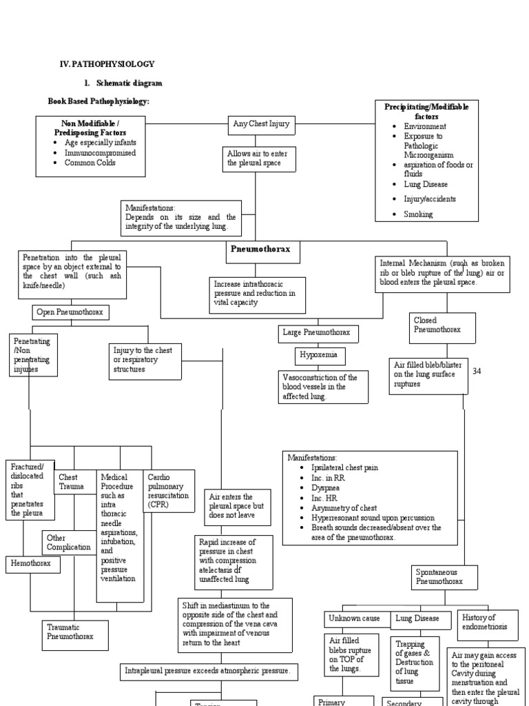 Iv. Pathophysiology 1. Schematic Diagram Book Based Pathophysiology ...