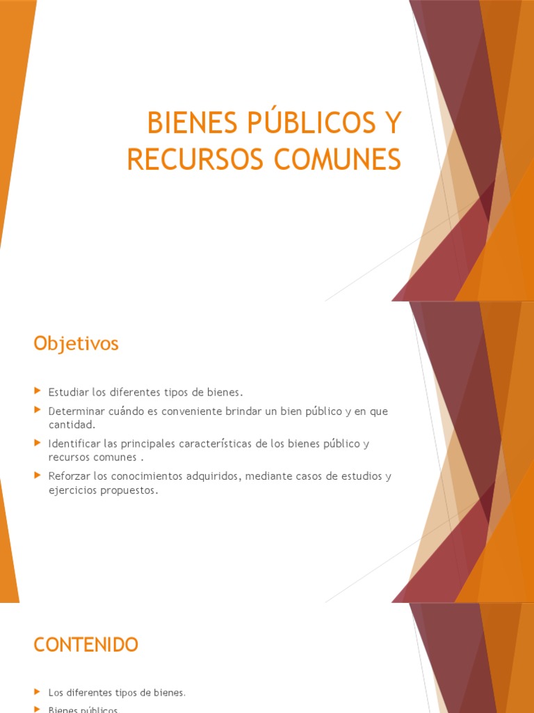 Bienes Públicos y Recursos Comunes | Bien público | Bienes