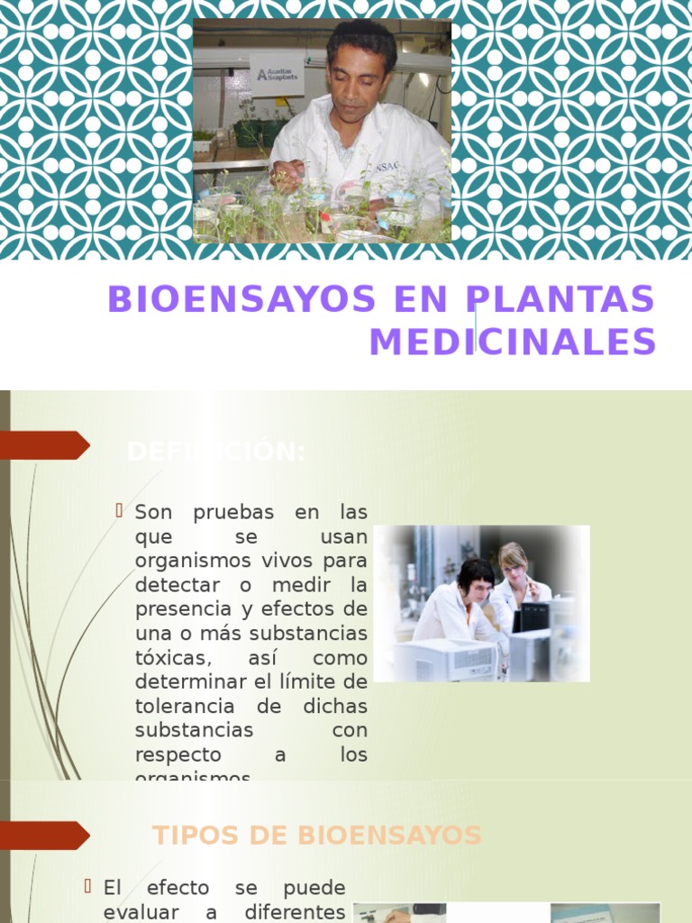 Bioensayo de Plantas Medicinales - Farmacognosia | PDF | Toxicidad ...