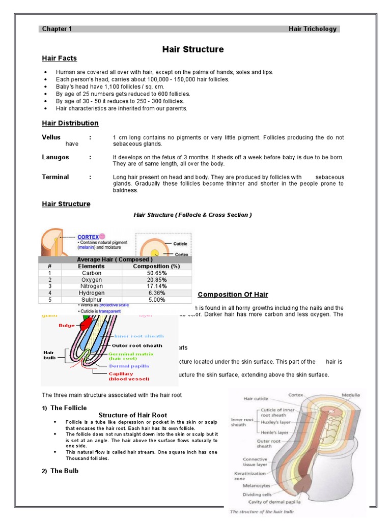 5chapter 1 - Hair Trichology | PDF | Hair | Hair Loss