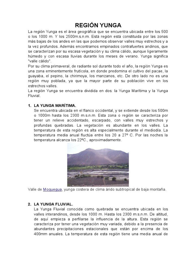 Región Yunga | PDF | Geografía Física | Meteorología