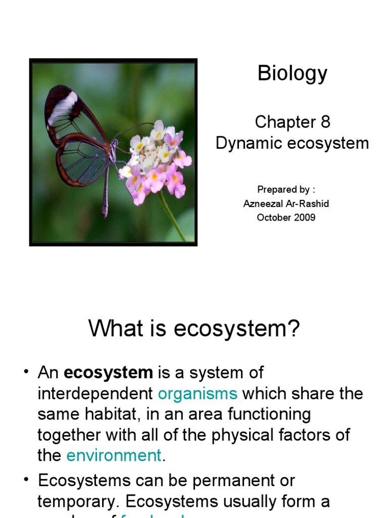 Dynamic Ecosystem | PDF