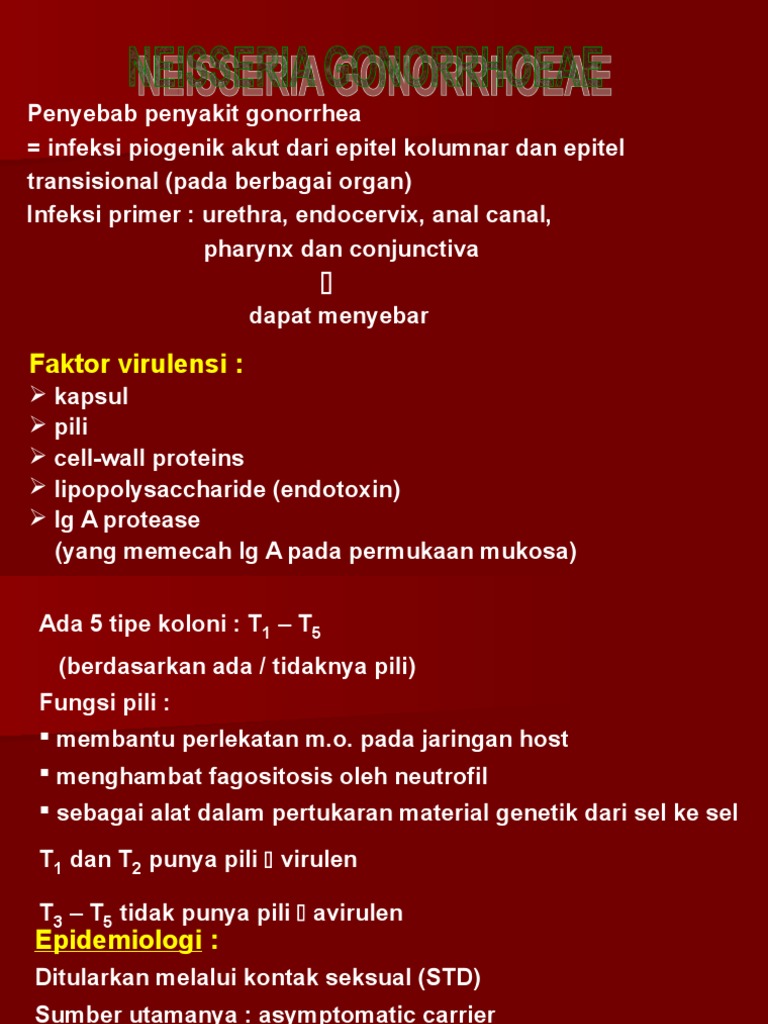 Neisseria Gonorrhoeae | PDF