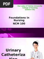 Ppt. Catheter Care | PDF | Catheter | Labia