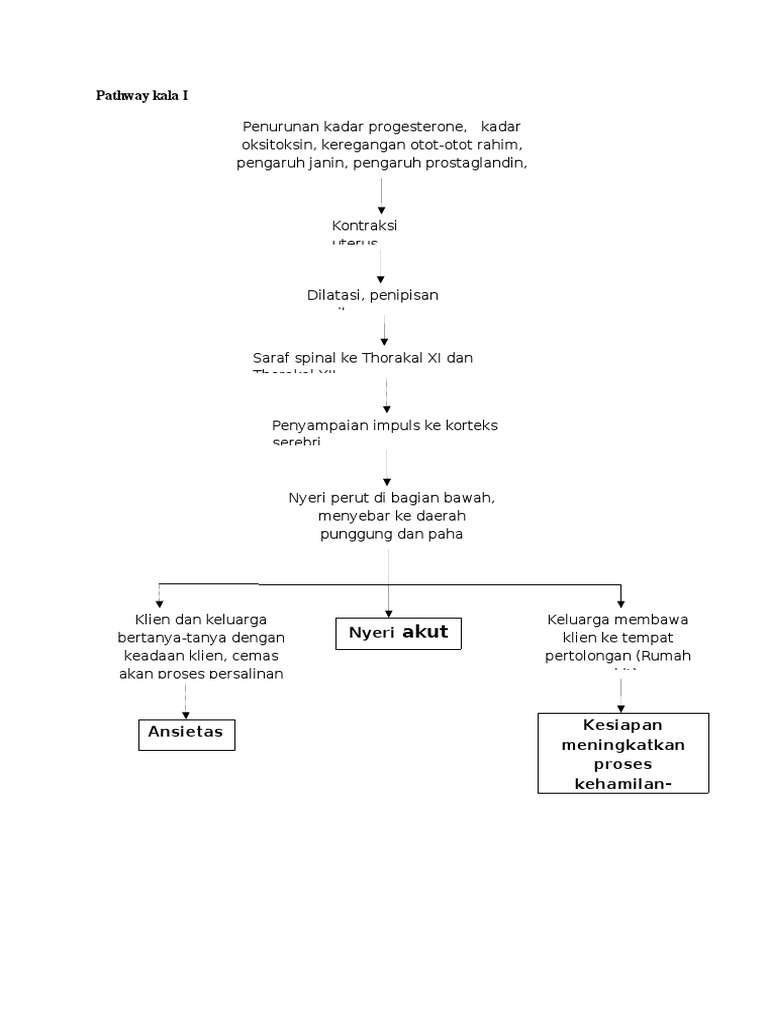 Pathway Kala I New | PDF
