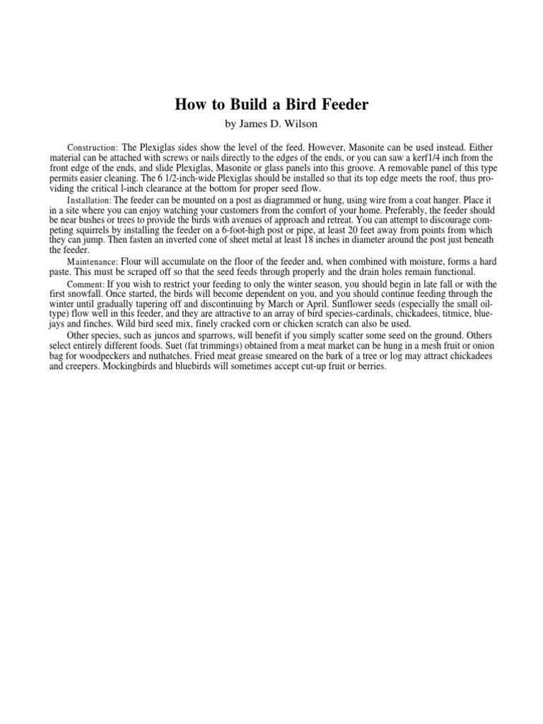 Build a Plexiglas Bird Feeder Guide | PDF
