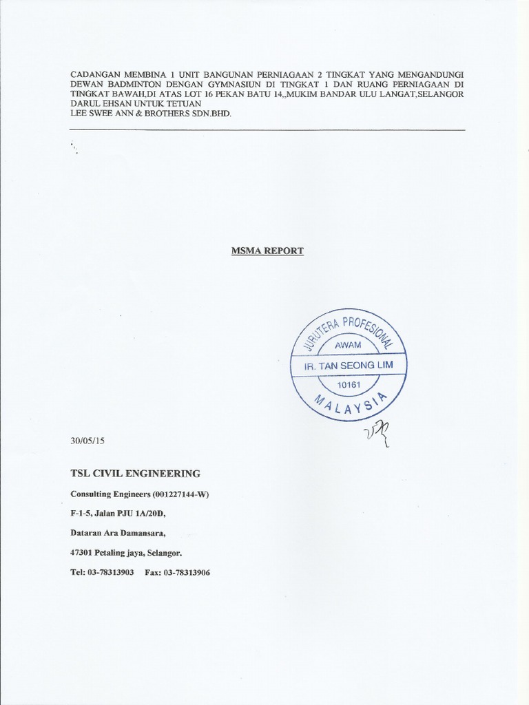 MSMA Report | PDF