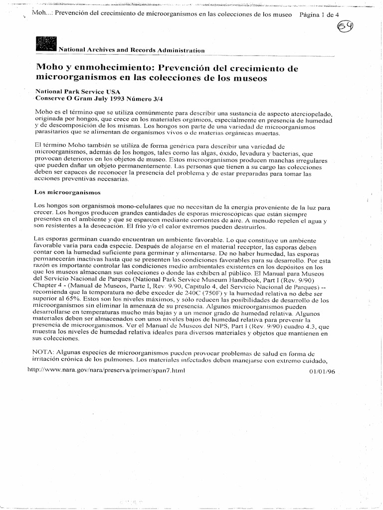 Moho y Enmohecimiento | PDF