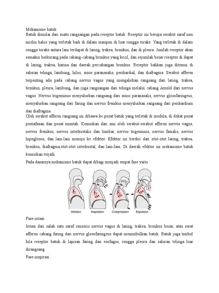 Mekanisme Batuk | PDF