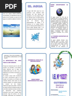 Triptico Importancia Del Agua | PDF