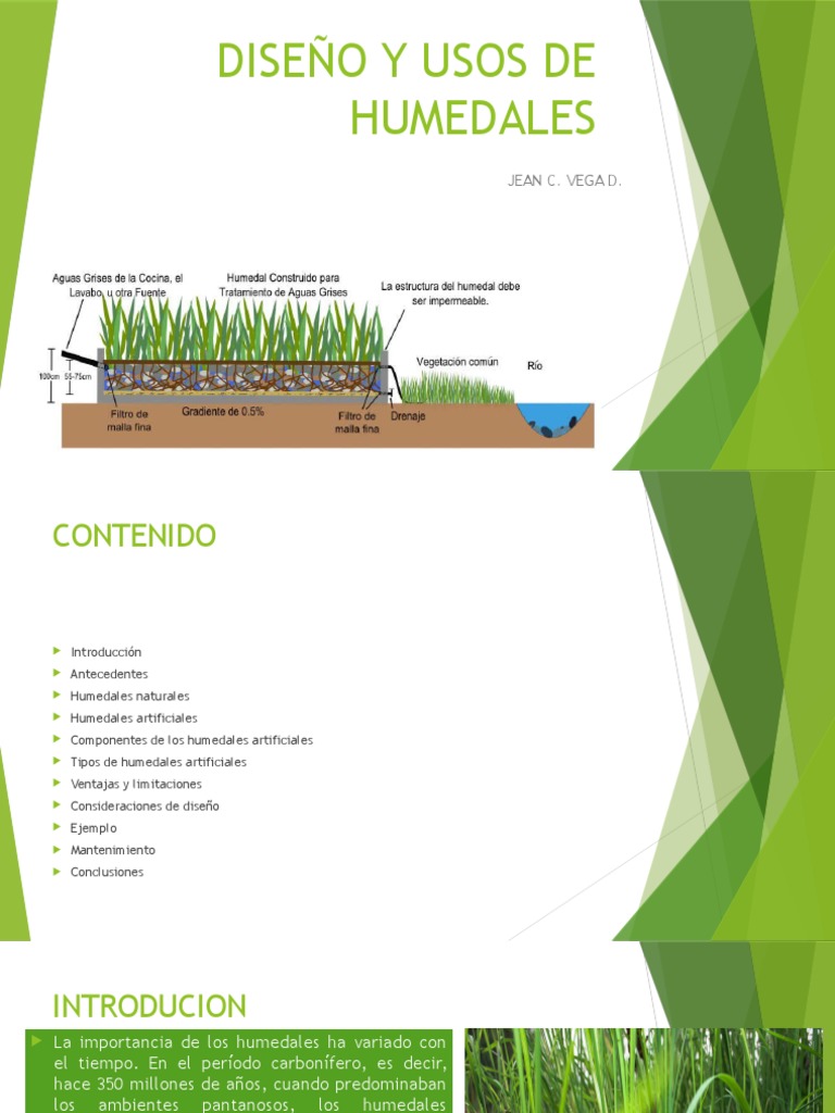 Diseño y Husos de Humedales | PDF | Humedal | Aguas residuales