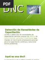 Ejemplos de DNC | PDF | Cuestionario | Cliente