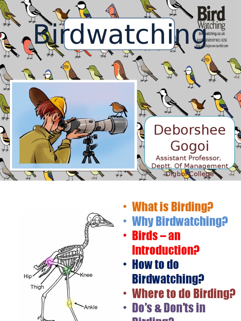 birdwatching.pptx | Birdwatching | Columbidae