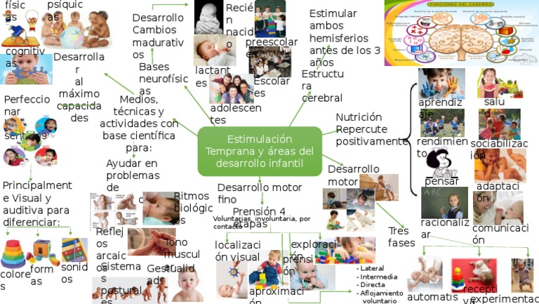 Mapa Mental Estimulación Temprana | PDF