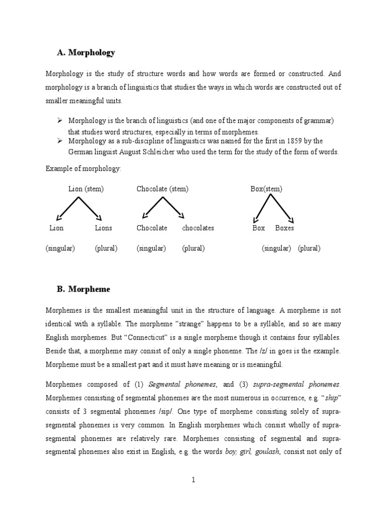 Morphology | Word | Noun | Free 30-day Trial | Scribd