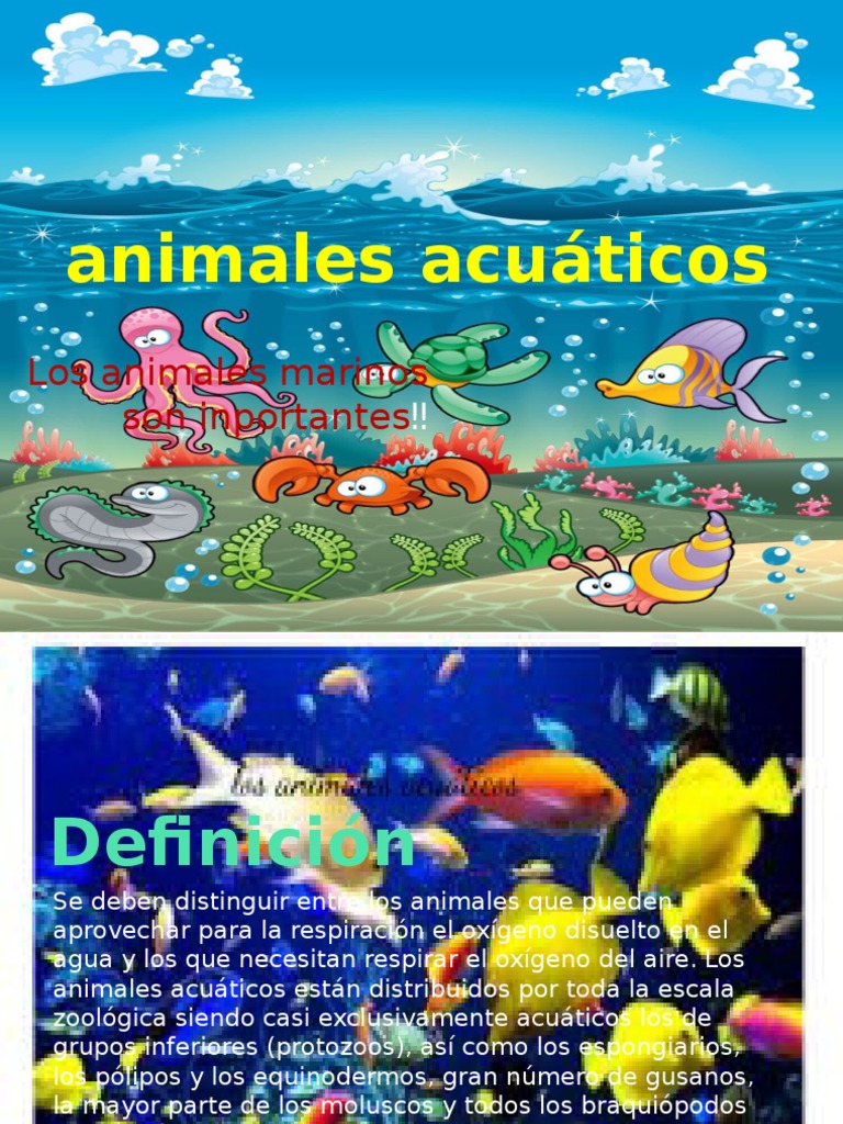 Animales Acuáticos | PDF | Ciencias sociales